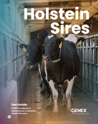 Holstein Sires - August 2024